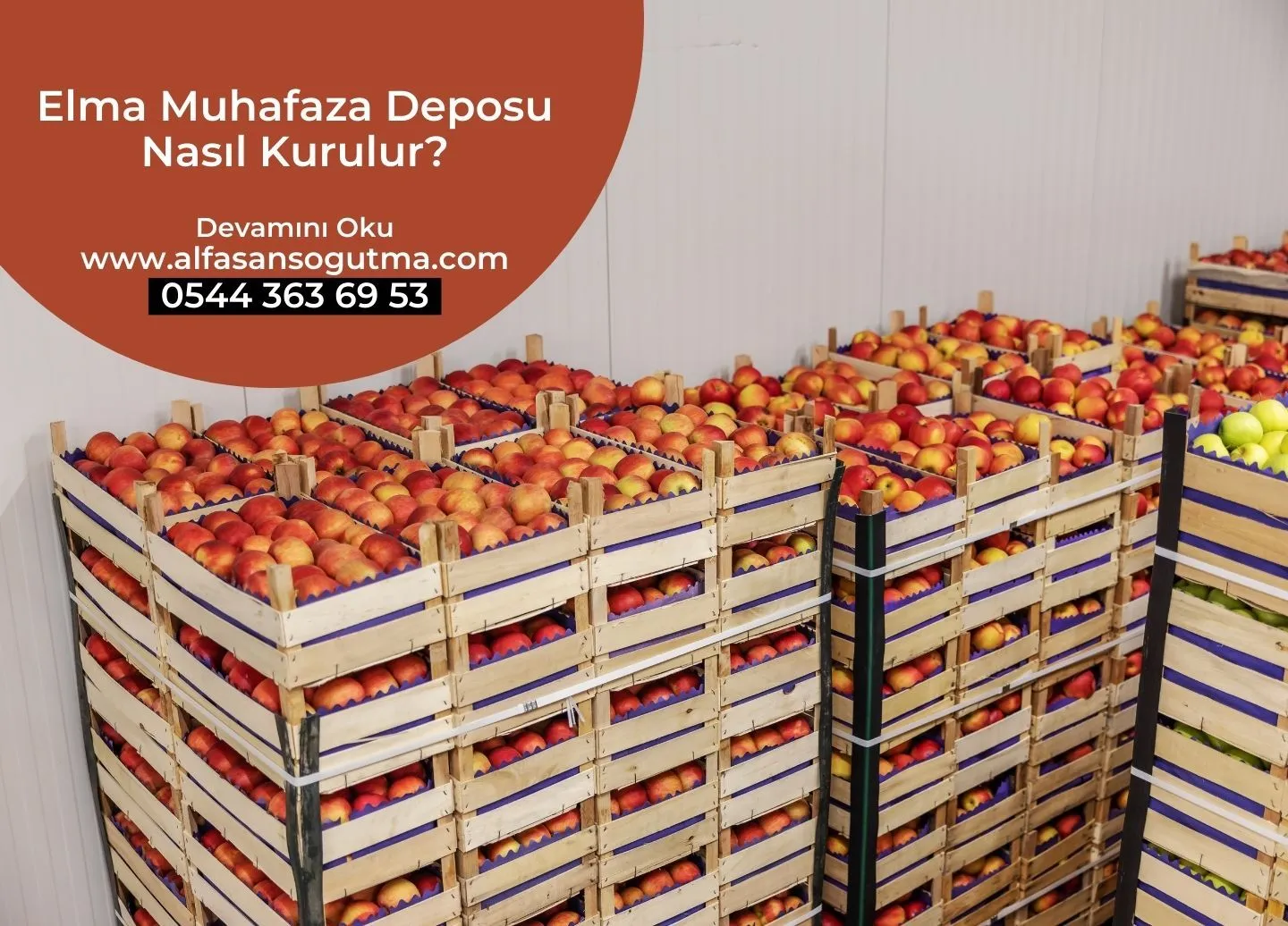 Elma Muhafaza Deposu Nasıl Kurulur? | Alfasan Soğutma
