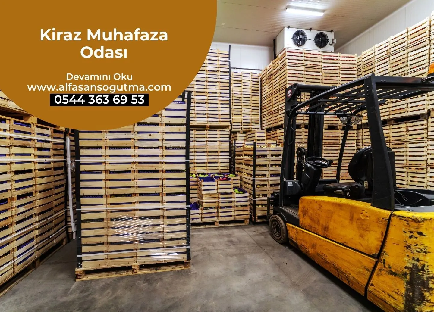 Kiraz Muhafaza Odası | Alfasan Soğutma