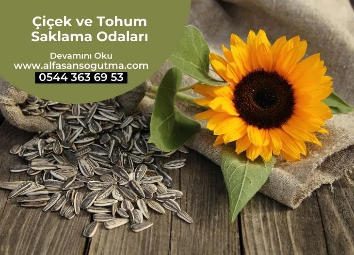 Çiçek ve Tohum Saklama Odaları | Alfasan Soğutma