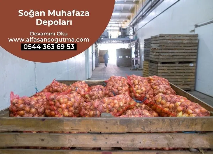 Soğan Muhafaza Depoları | Alfasan Soğutma